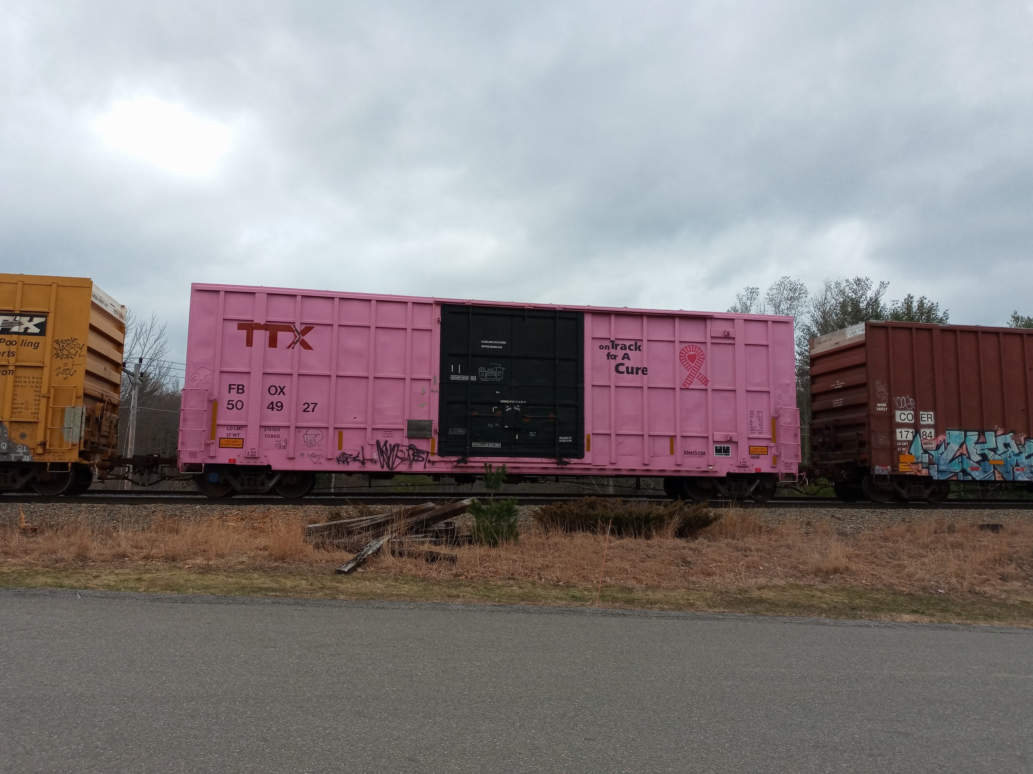 Breast cancer TTX boxcar: The GreatRails North American Railroad Photo ...