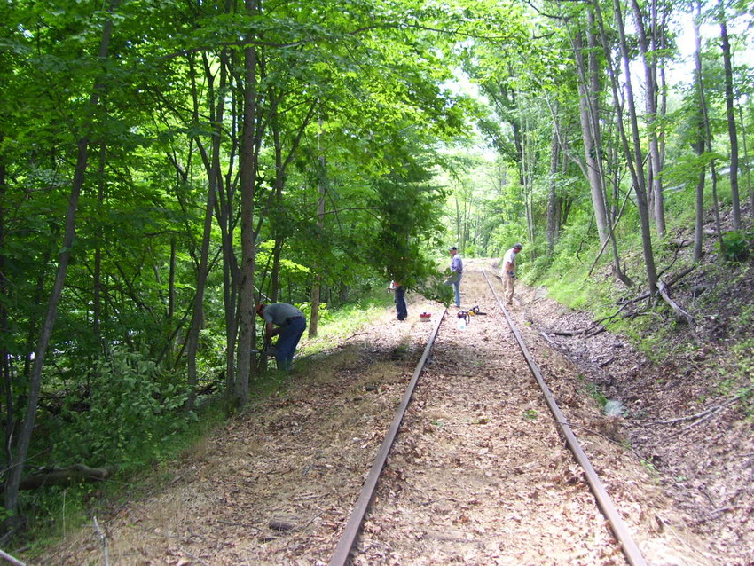 Cutting Trees at Milepost 22.45: The GreatRails North American Railroad ...