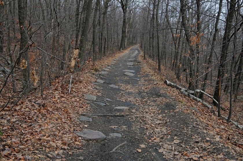 Pennsylvania Coal Company Gravity Railroad: 4 of 18: The GreatRails ...