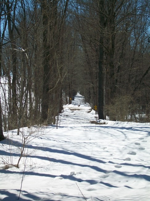 Arcade & Attica RR North Java, NY: The GreatRails North American ...